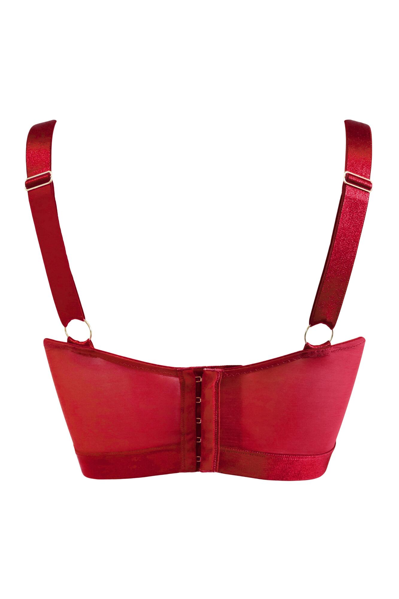 India Embroidery Underwired Bustier B-H in Red | Pour Moi Clothing