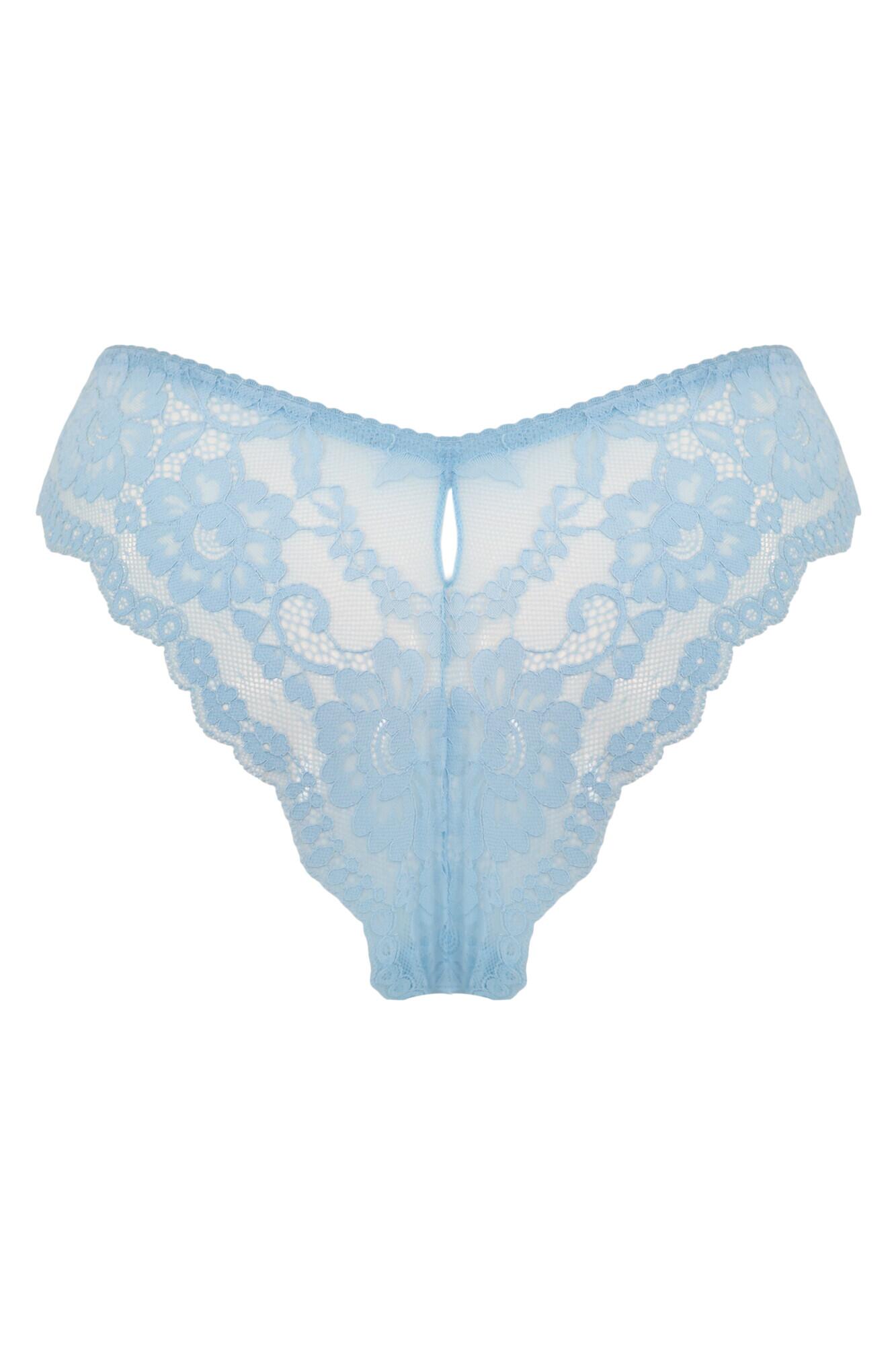 Fleur Cheeky V-Shaped Brief in Powder Blue | Pour Moi Clothing