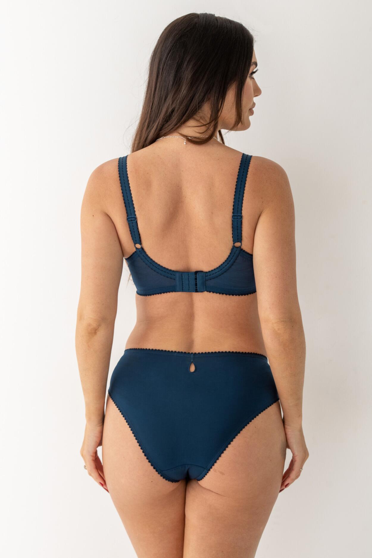 Sofia Embroidered Lace Bikini Brief in Dusk/Blue | Pour Moi Clothing